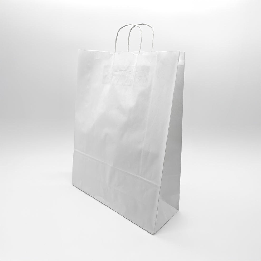 Spacious Paper Bags for Shops & Vendors | Eco-Friendly 75% Off – Karina ...